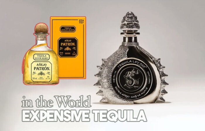 Exploring the World of Expensive Tequila: A Luxury Experience ...